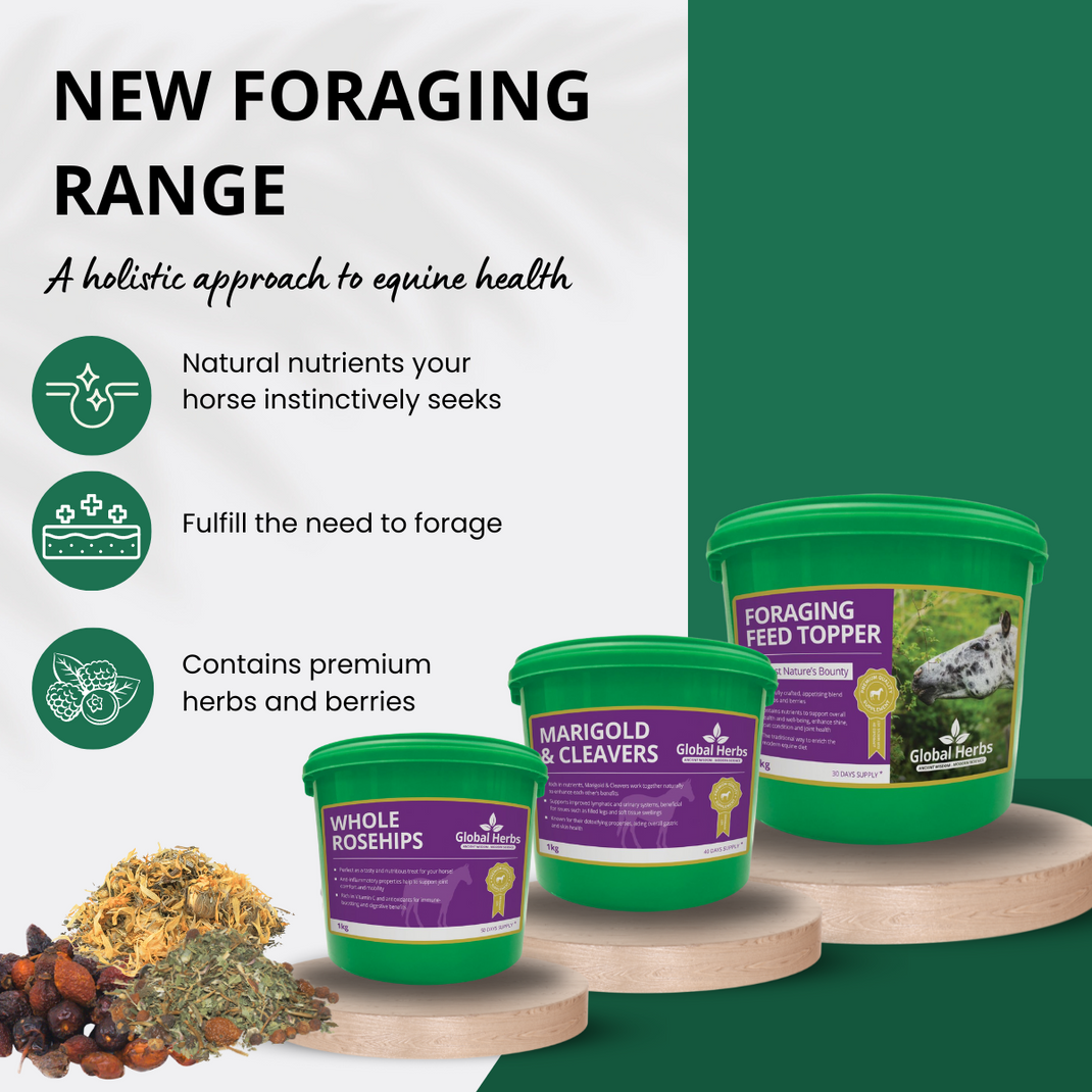 Global Herbs Membership Portal – Global Herbs B2B